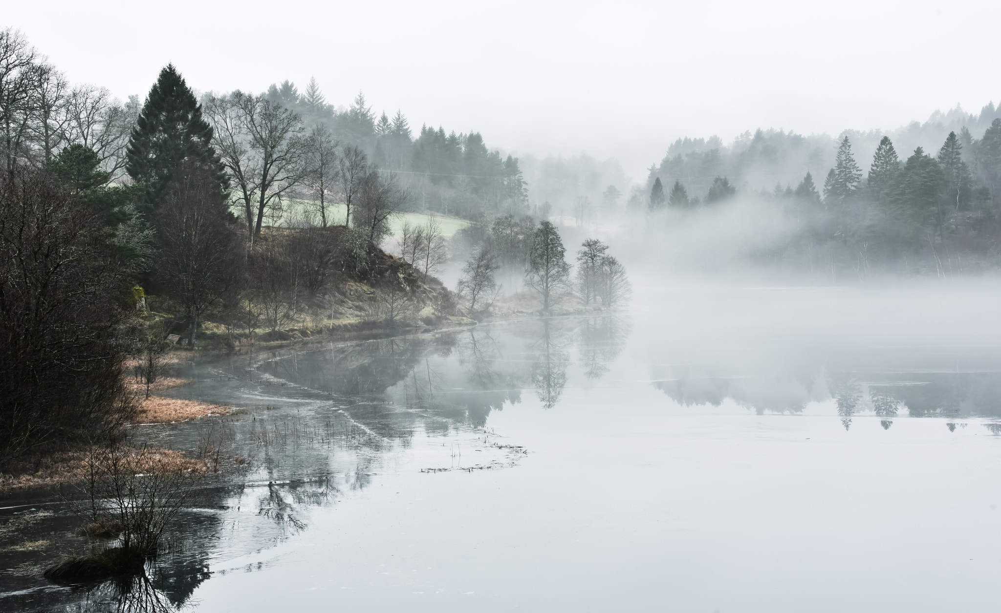 Misty Lake Evoking Tranquility and Mysterious Beauty | landscape photo ...