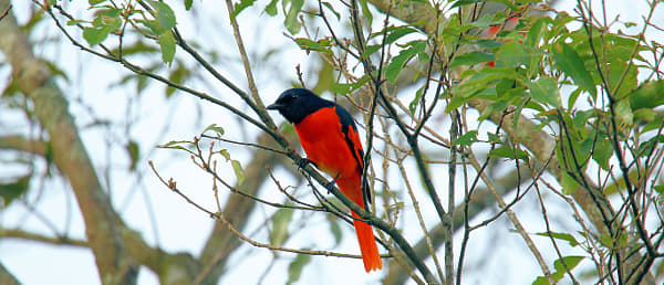 Khoi Tran Duc's Photos & Galleries | 500px