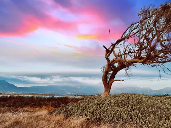 Terry Wells's Photos & Galleries | 500px