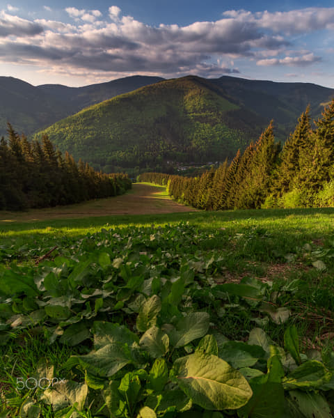 Lush Green Valley Under Mountains Evoking Serene Abundance | city photo ...
