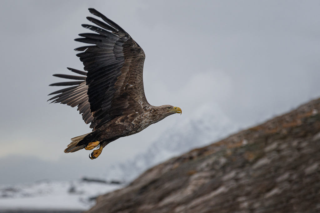 DSC_0563 by Guenther Pernold | 500px