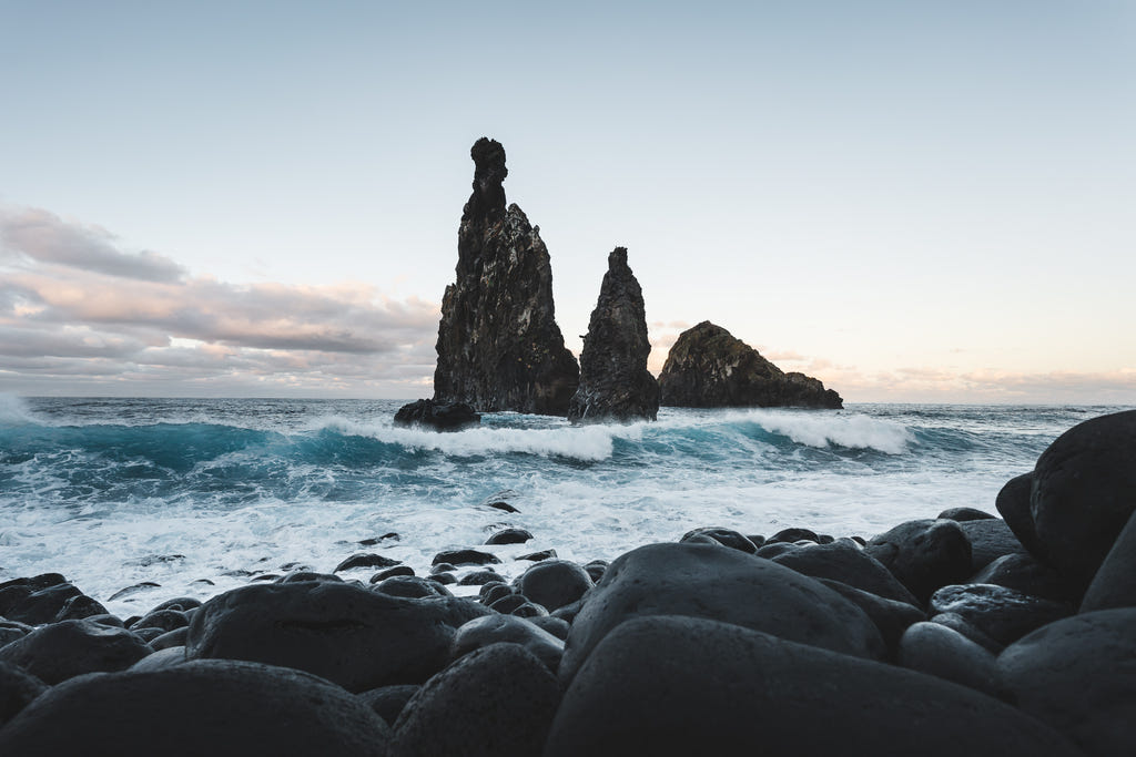 Delicate Catkins Representing New Growth and Natural Cycles | nature ...