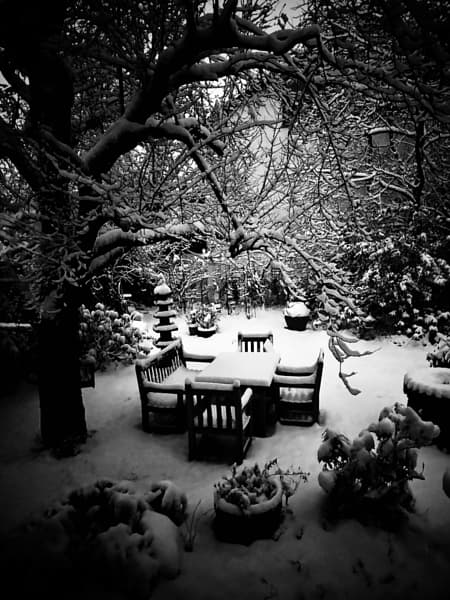 Garden by Hans-Joachim Scharpf | 500px