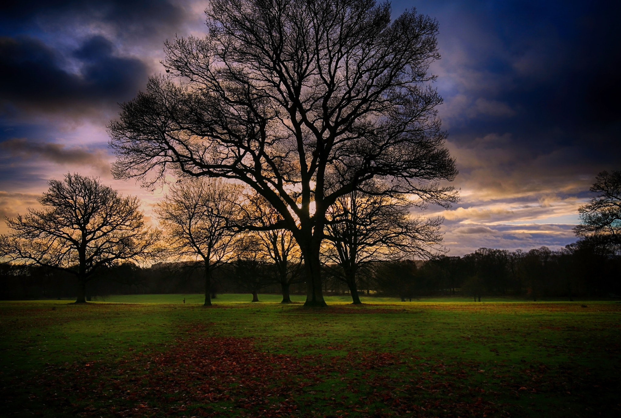 CAMPERDOWN PARK by Hilda Murray | 500px