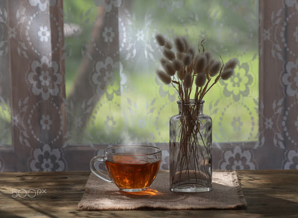 Cozy Still Life Evoking Comfort and Tranquility | still life photo by ...