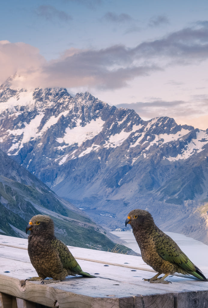 Mountain Peaks Overlooking Birds Representing Serenity and Nature's ...