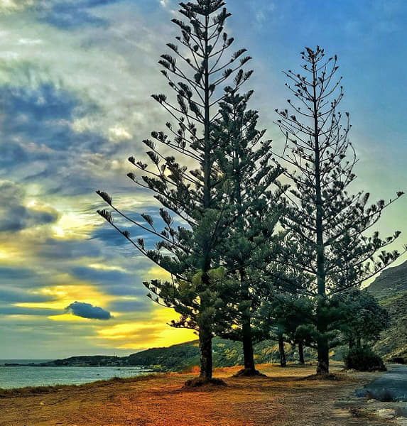 Terry Wells's Photos & Galleries | 500px