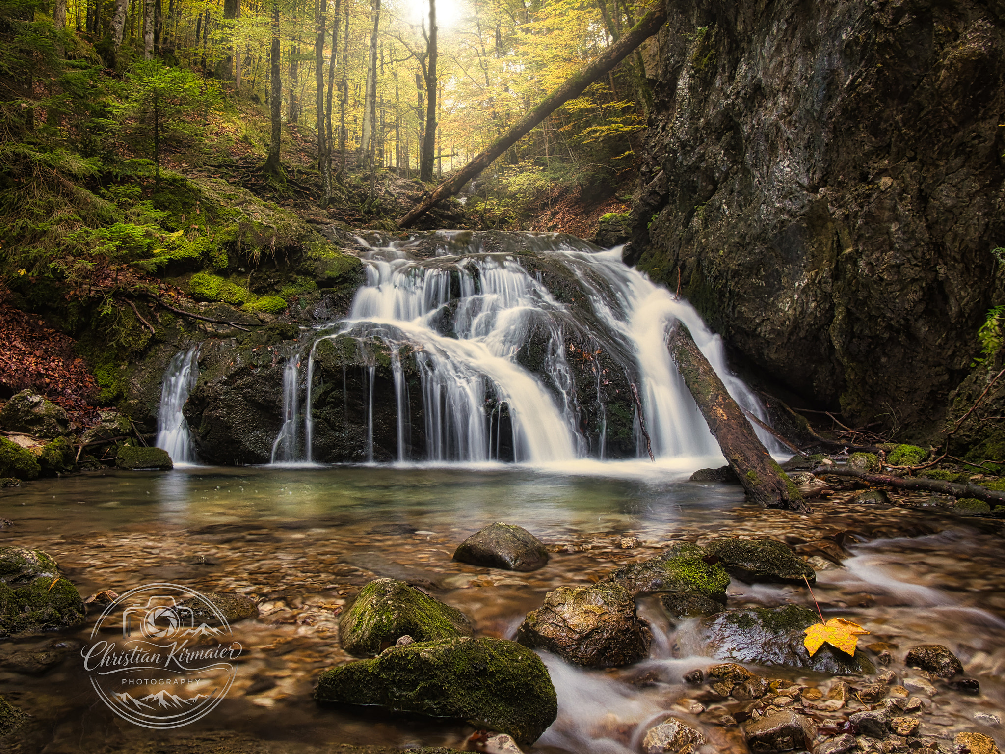 Forest Waterfall Cascades Down Rocks Evoking Natural Serenity ...