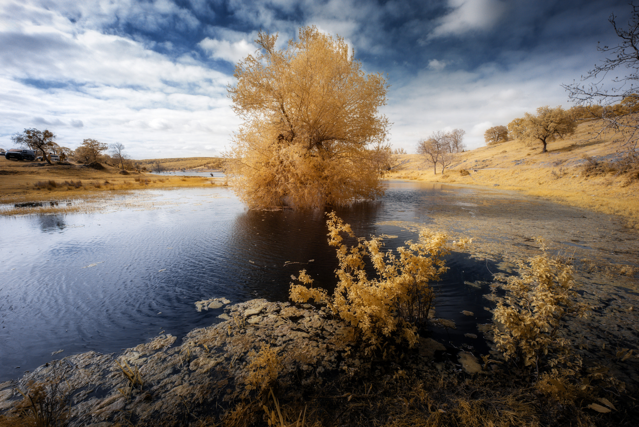 Autumn Landscape Radiating Serenity and Natural Beauty | landscape ...