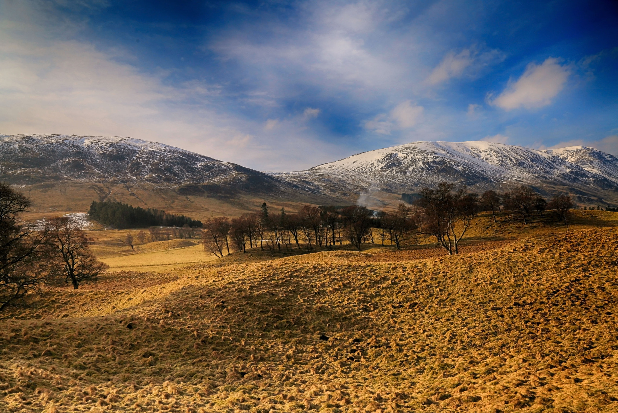 Vast Landscape Radiating Serenity and Untouched Beauty | landscape ...