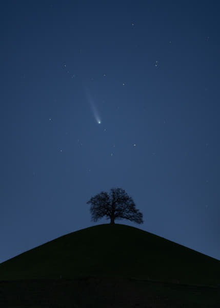 Comet Over Lone Tree Symbolizing Wonder and Solitude | nature photo by ...