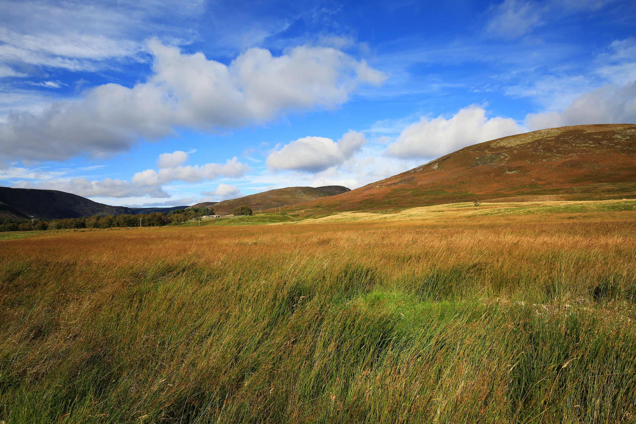 Vast Grassy Landscape Inspiring Freedom and Openness | landscape photo ...