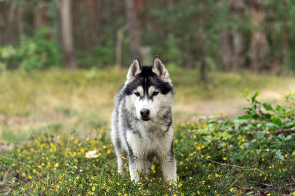 Andrei Bulatov's Photos & Galleries | 500px