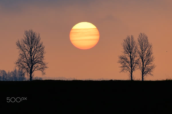 Sunset Between Trees Evoking Serenity and Natural Beauty | nature photo ...