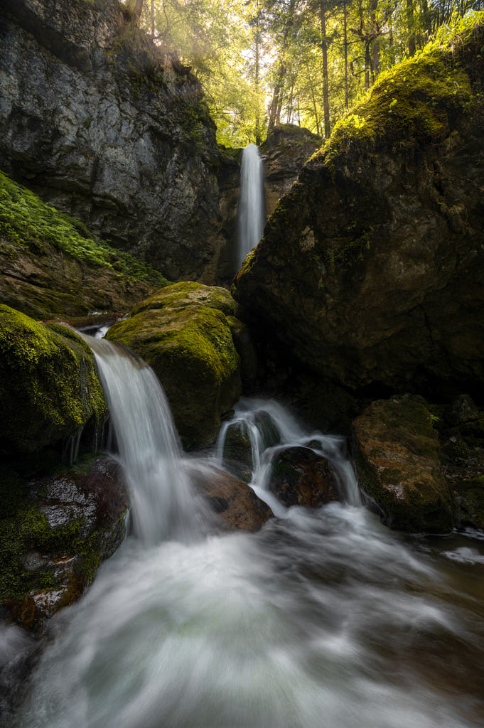 Forest Waterfall Cascading Symbolizing Nature's Flow and Vitality ...