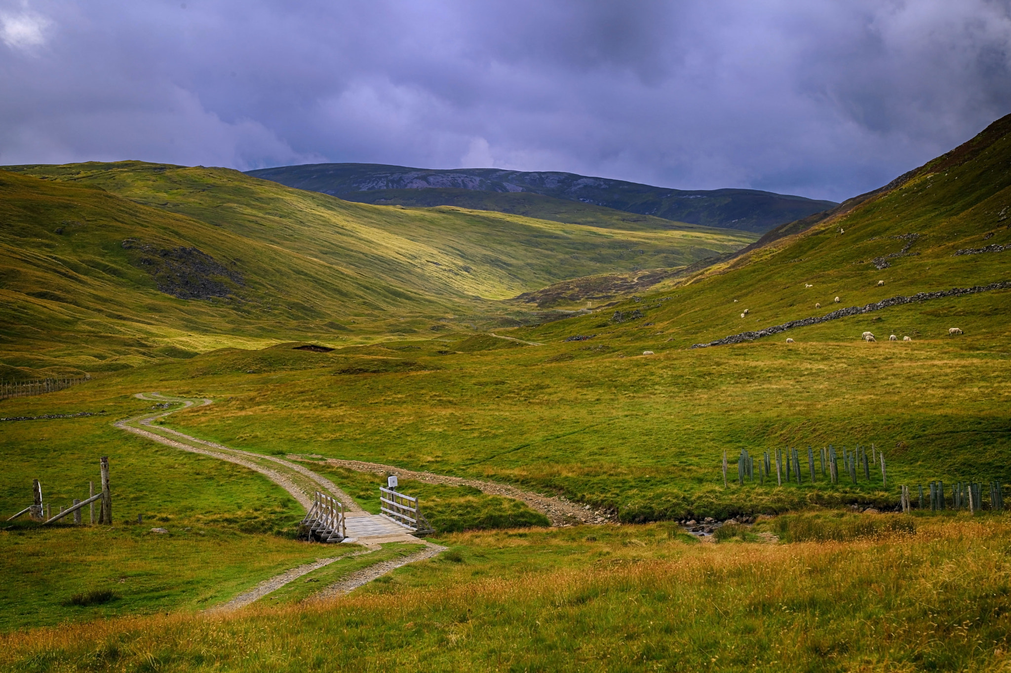 Winding Path Through Green Valley Evoking Journey and Exploration ...