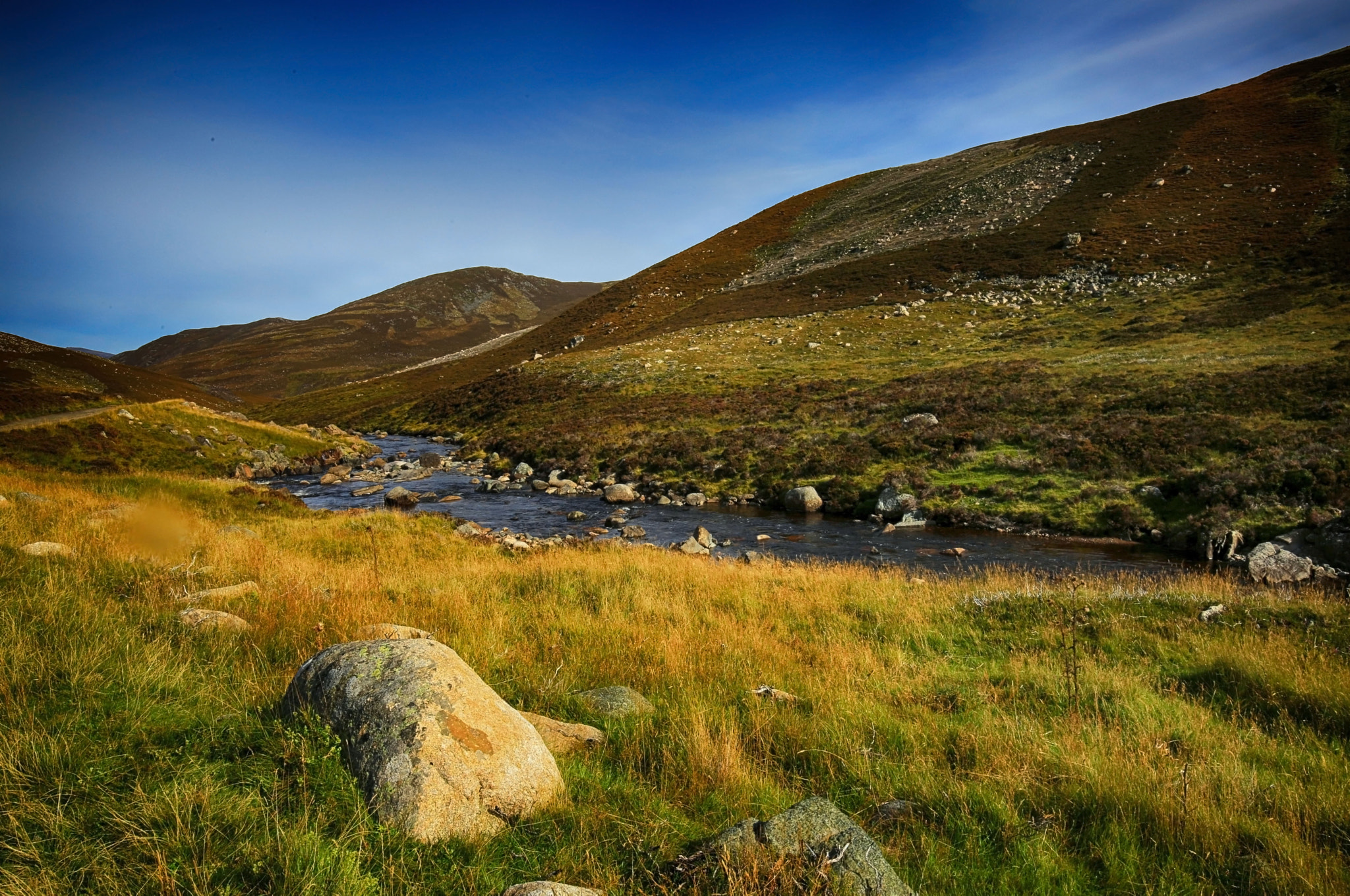 Mountain Stream in Lush Landscape Evoking Wilderness and Vitality ...