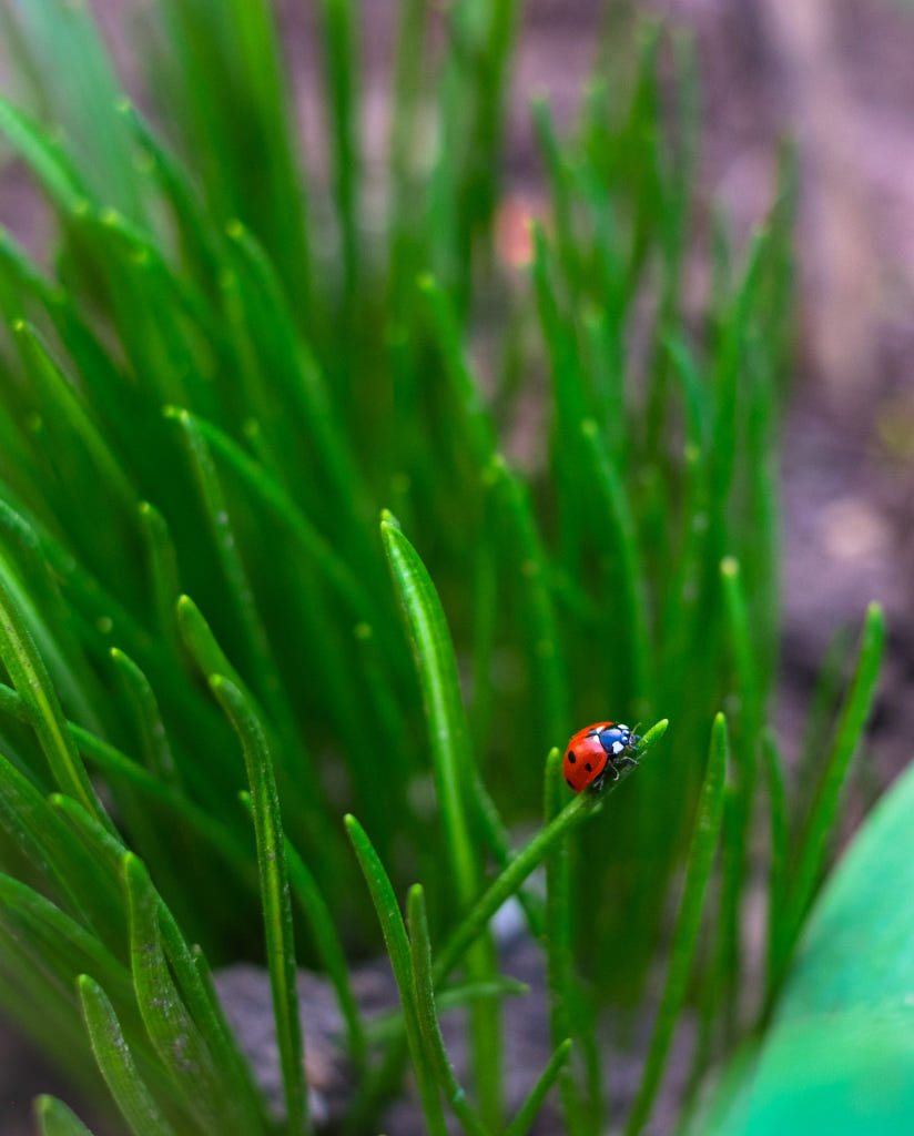 belly Button by Rudraksh Chowdhury | 500px