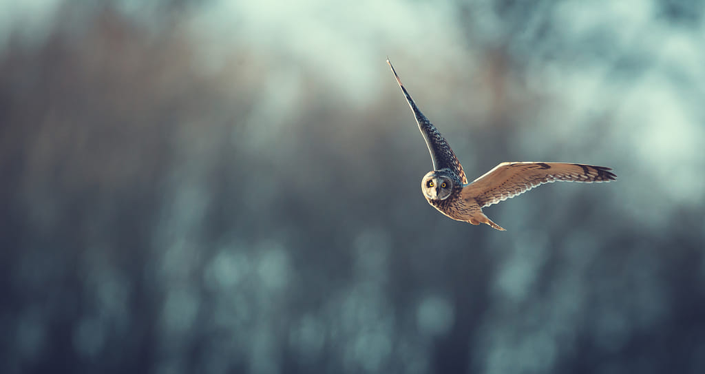 Martin Pek - Action by Jan Kasl | 500px