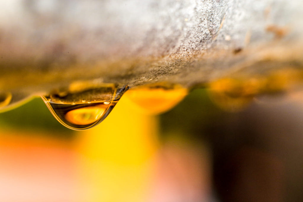 Hope Leeper by Hope Leeper | 500px