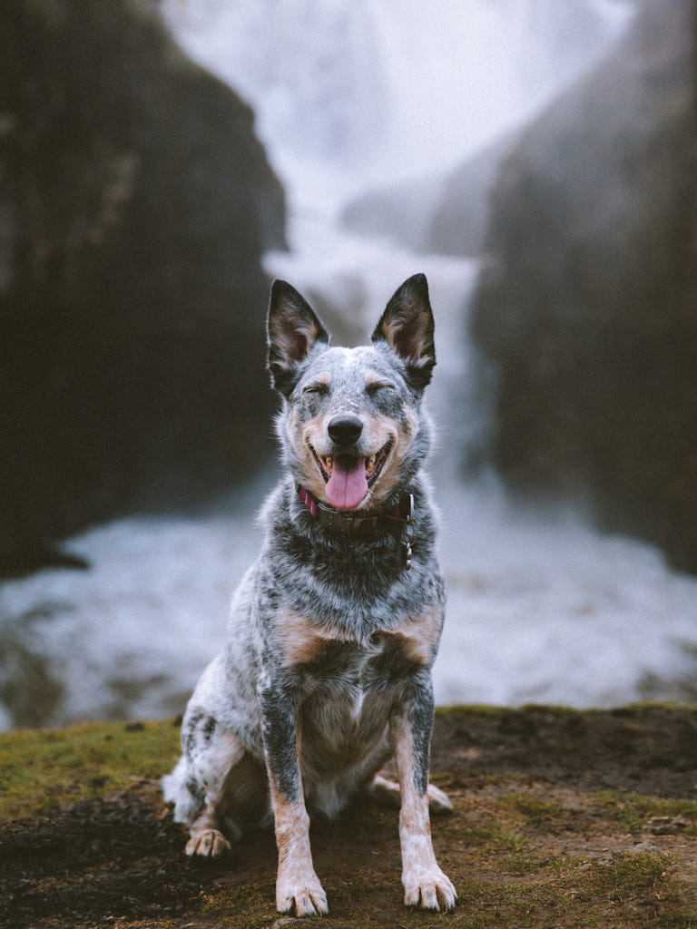 Hope Leeper by Hope Leeper | 500px
