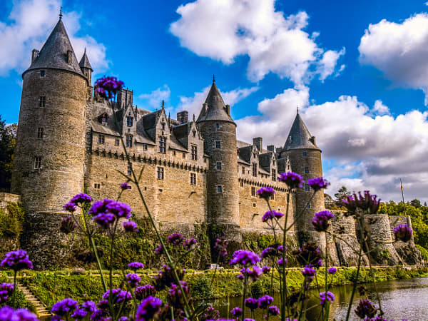 Historic Castle Amidst Nature Evoking Enduring Legacy | city photo by ...