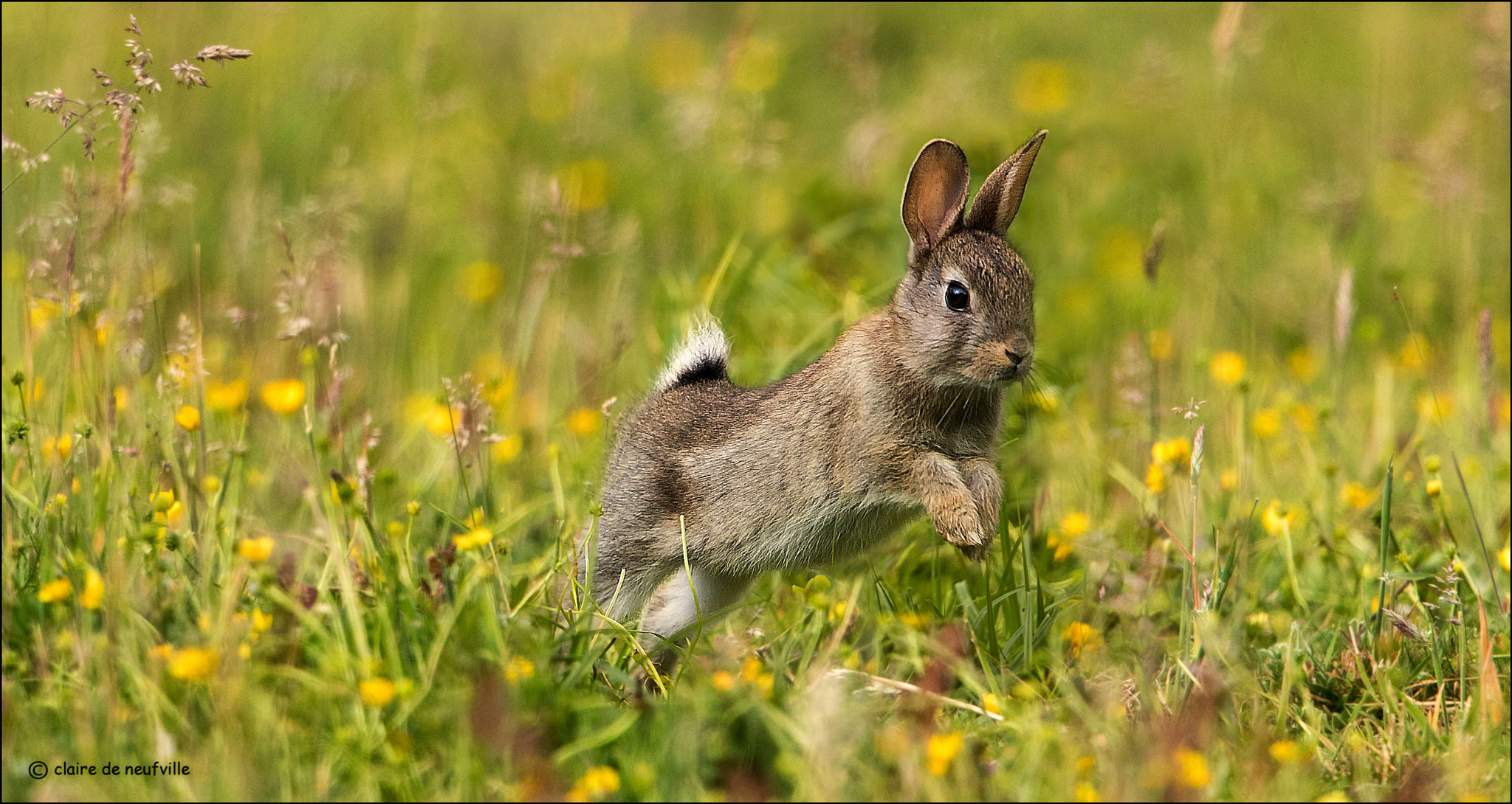 running! by claire de neufville / 500px