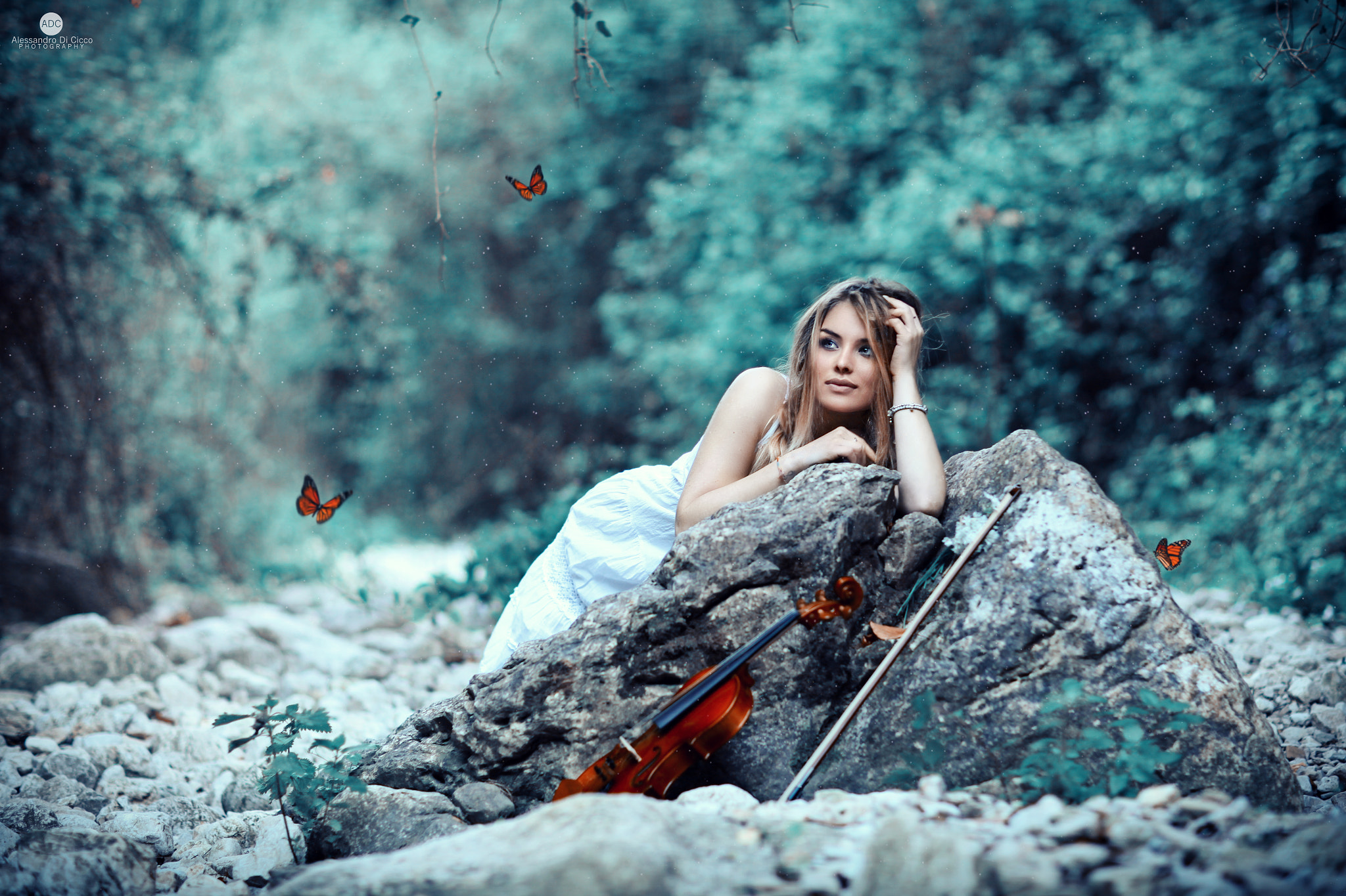 Butterflies by Alessandro Di Cicco / 500px