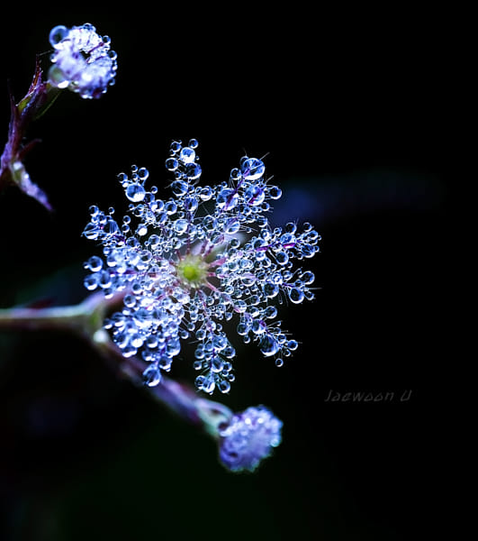 Two of a kind by Tammy Smith | 500px