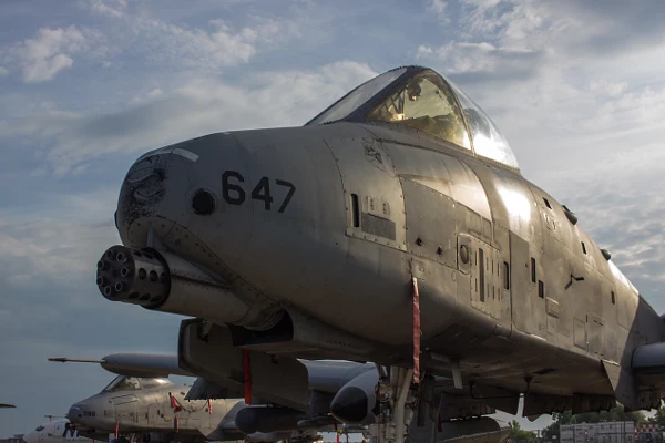Grounded Warthog by Florin Dobre | 500px