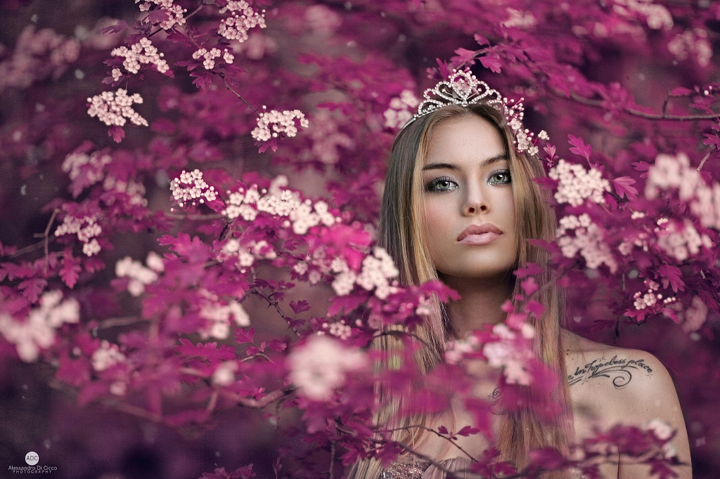 Queen Violeta II by Alessandro Di Cicco / 500px