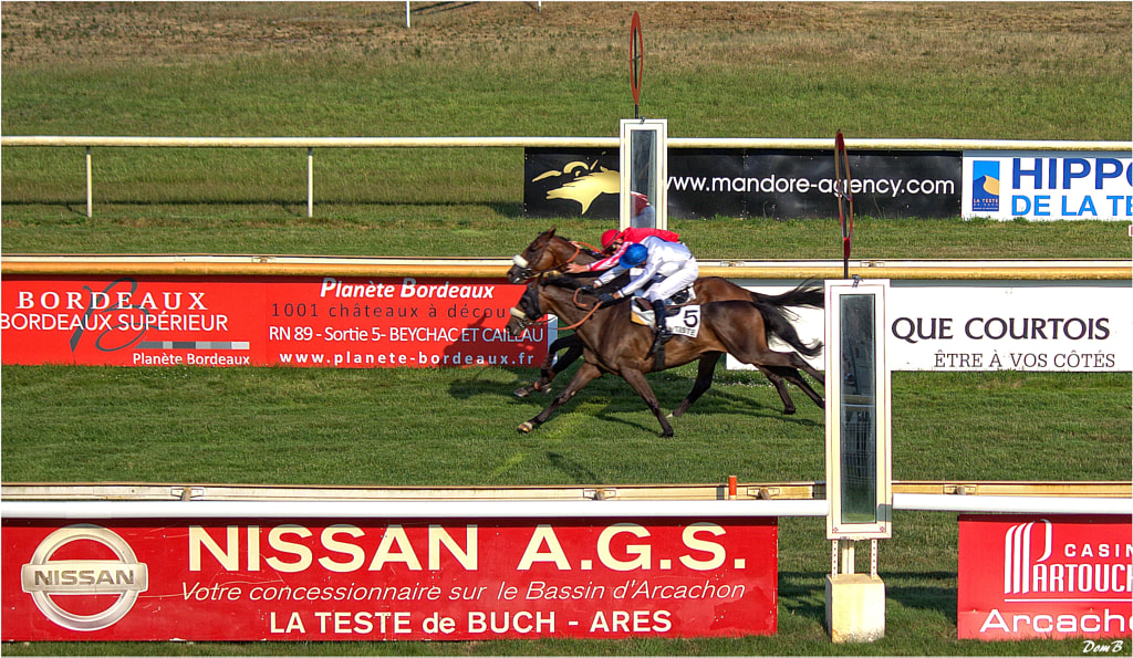 Richard Le Stang sur Petit Soleil Prix de l'hippodrome de Pompadour ...