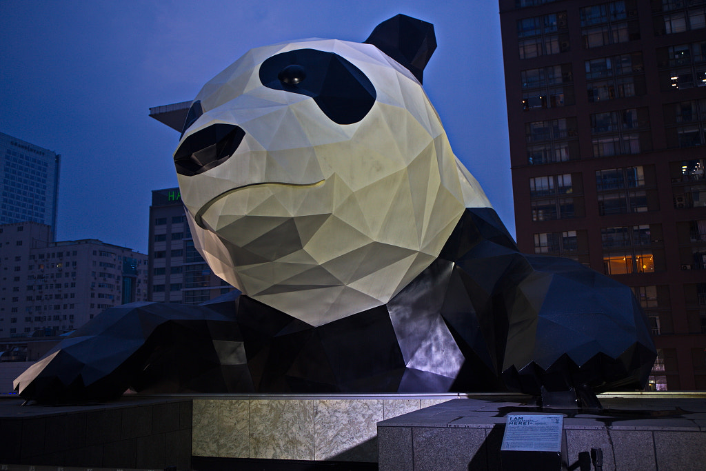 Panda at IFS Chengdu, China by Roby Wong / 500px