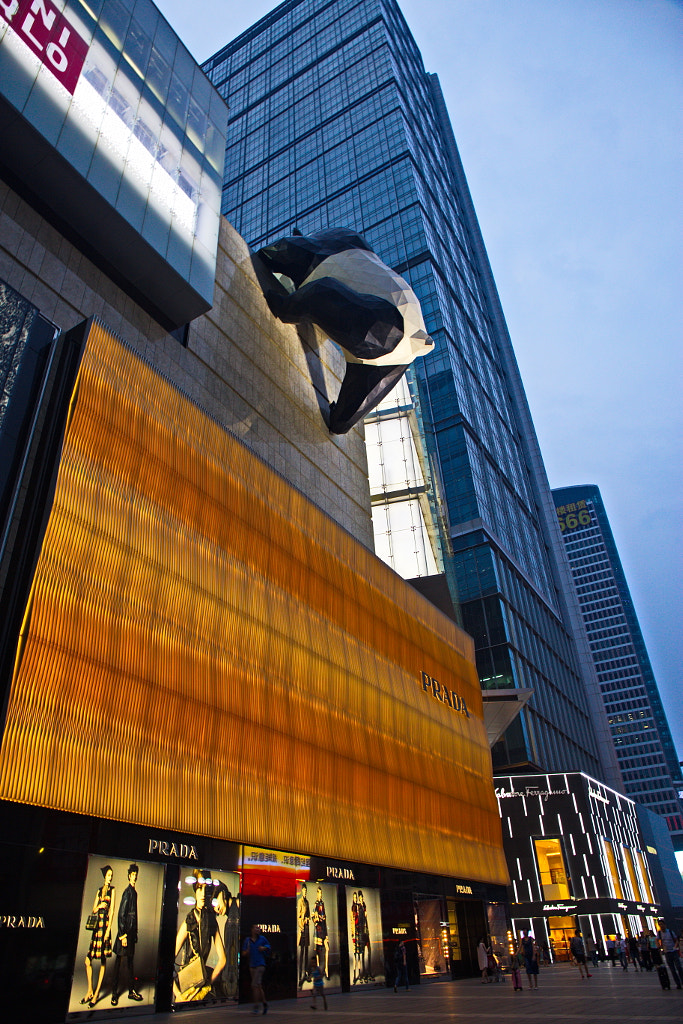 Panda at IFS Chengdu, China by Roby Wong / 500px