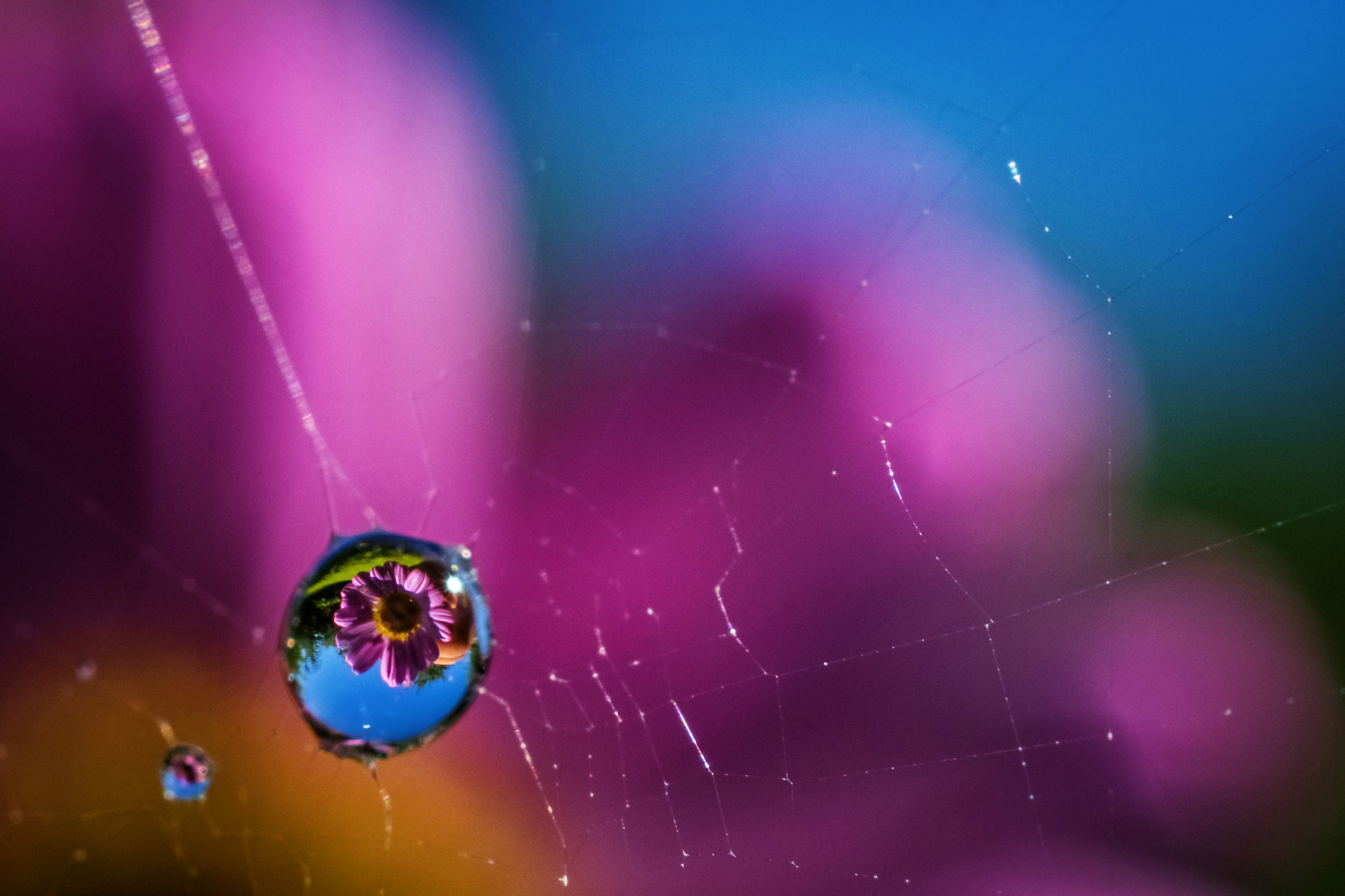 Reflection by Gabriela Ciobanu | 500px