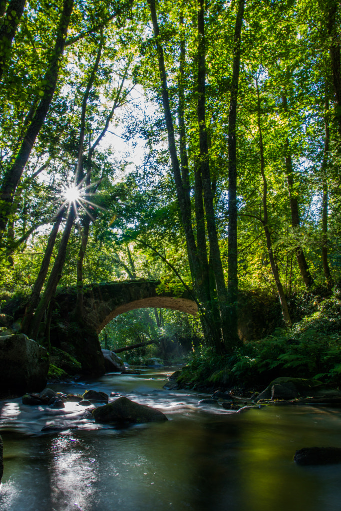 Mysterious river by Olafur Olufsen / 500px