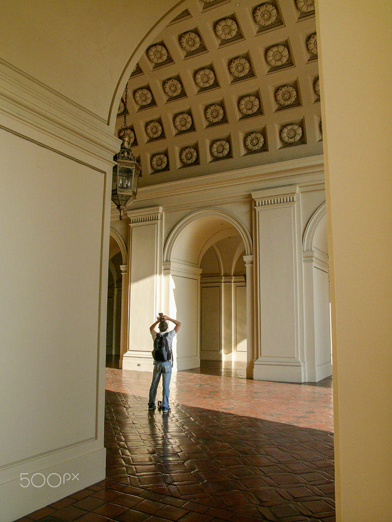 Arched Back by Chris Ross Leong | 500px