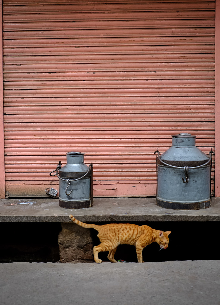 May I have some? by Boris Furlan / 500px
