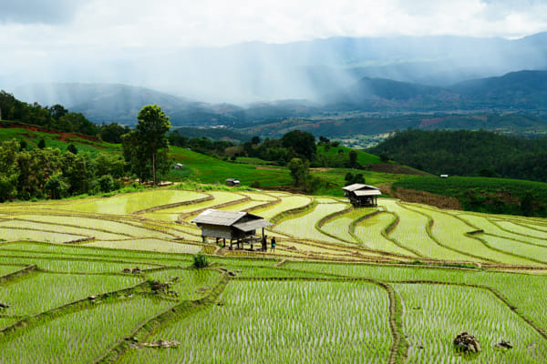 Pano by Andrew Bee 1dx / 500px
