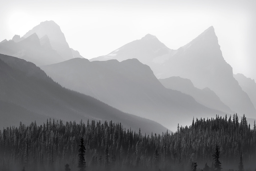 Mistaya River Valley by Wieslaw Poltorak / 500px