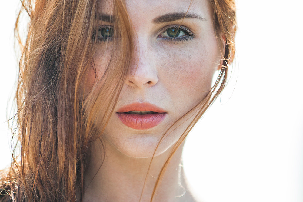 Iris LXXXV by Jochen Dreess / 500px