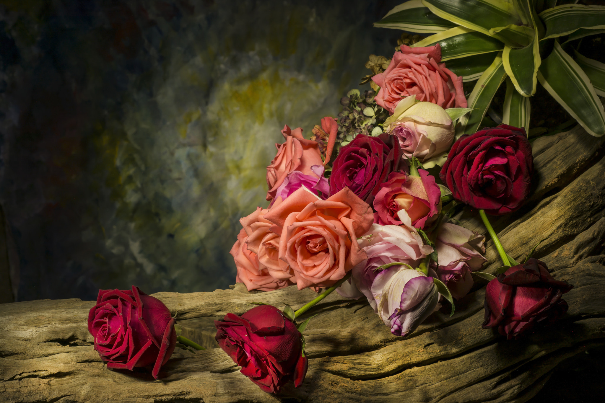 Still life with Rose flower by Kamnuan Suthongsa / 500px