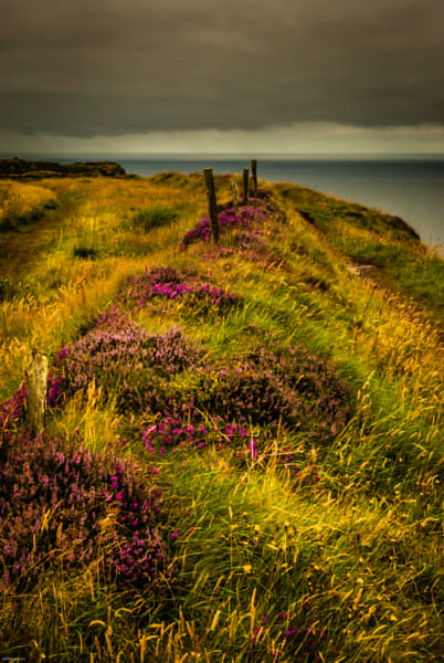 Colours of Moher by Alex Abrahams | 500px