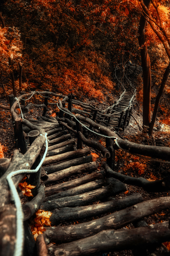 The serpentine path by Hanson Mao(毛延延) / 500px