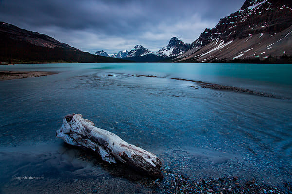 White and Pink Phlox Flower by Jeff Oien / 500px