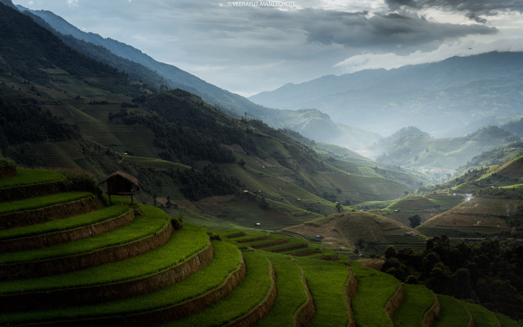 Mu Cang Chai by Veerayut Maneechote / 500px