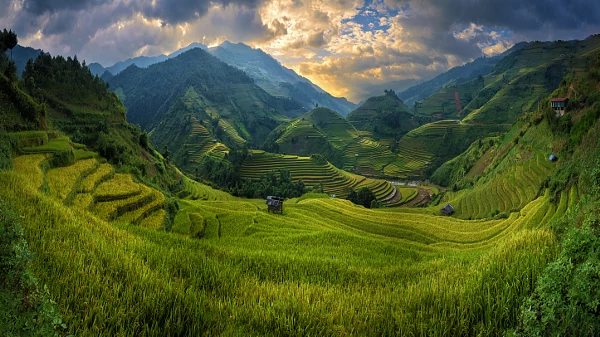 Rice fields on terraced of Mu Cang Chai on sunset by Extra Suriyachat ...