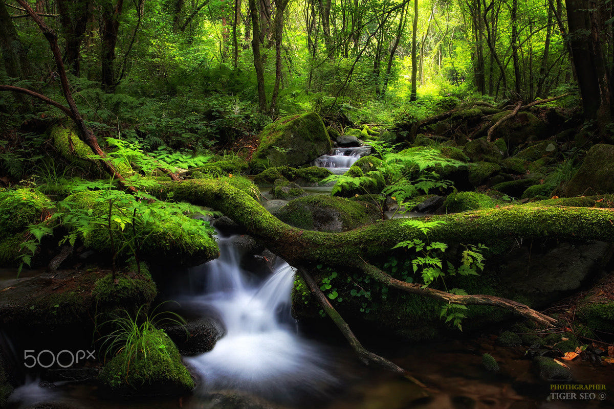 Deep valley by Tiger Seo / 500px