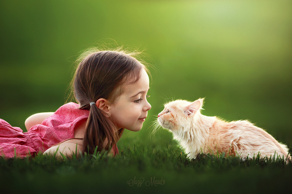 Best Friend by Suzy Mead / 500px