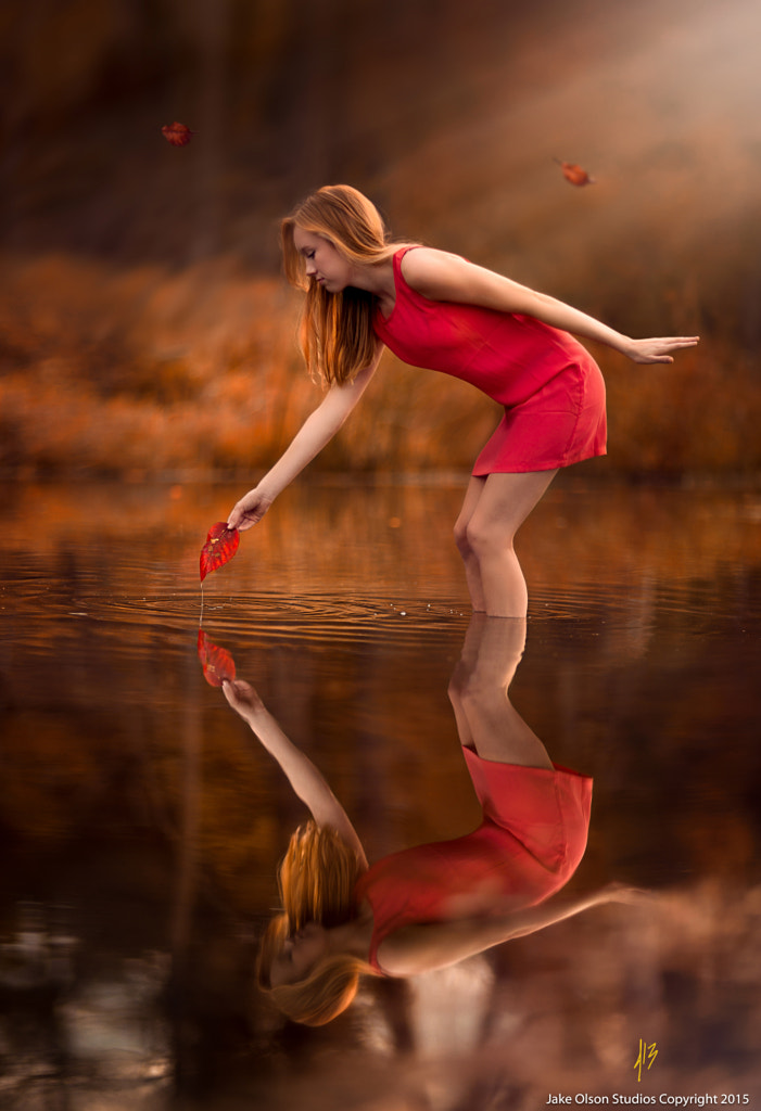Autumn's Gathering by Jake Olson Studios / 500px